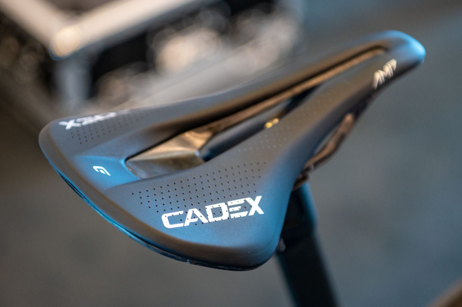 Tom Dumoulin nieuwe ambassadeur voor Giant en ontvangt een custom TCR - Racefietsblog.nl